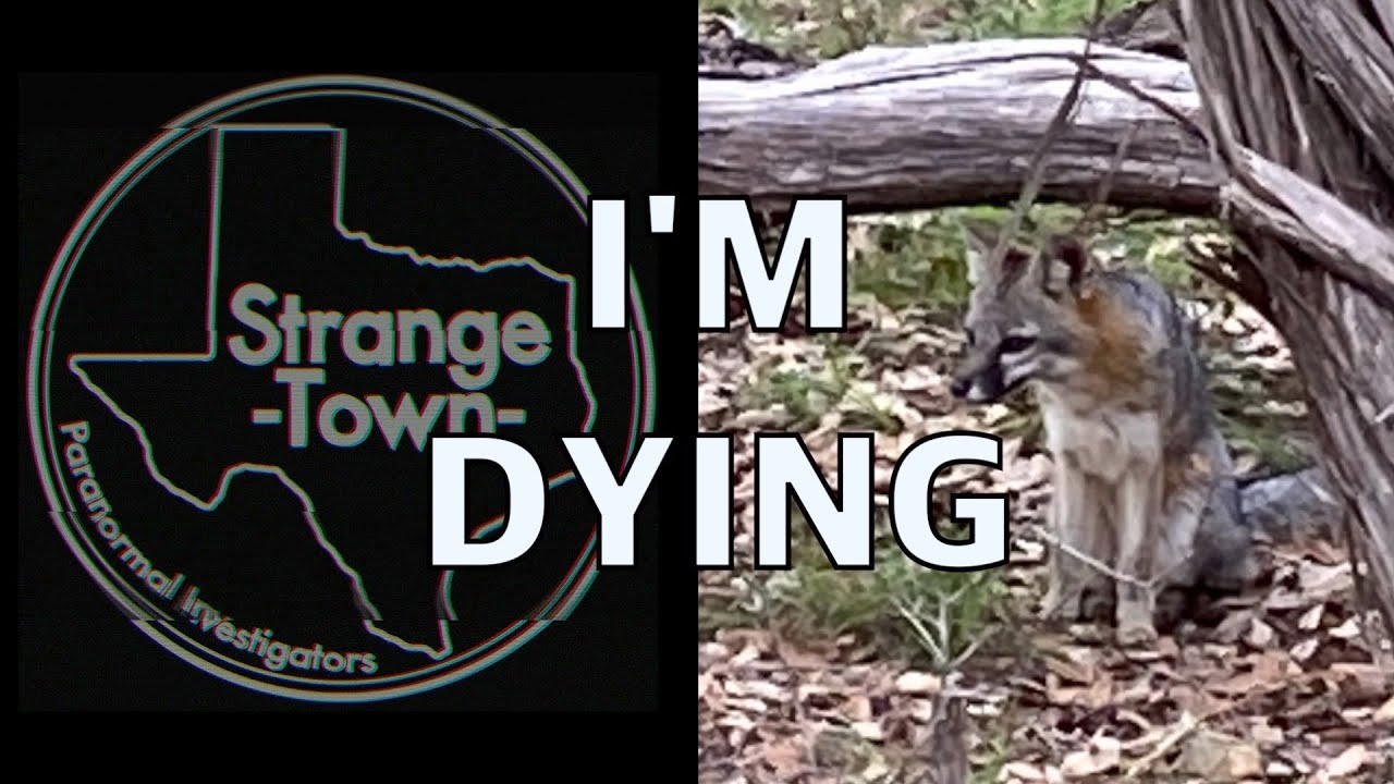 Strange Town - Ghostwatch